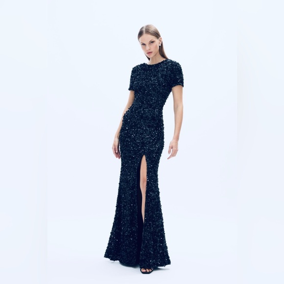 Rachel Gilbert | Dresses | Rachel Gilbert Nixie Gown Sequin Embellished ...